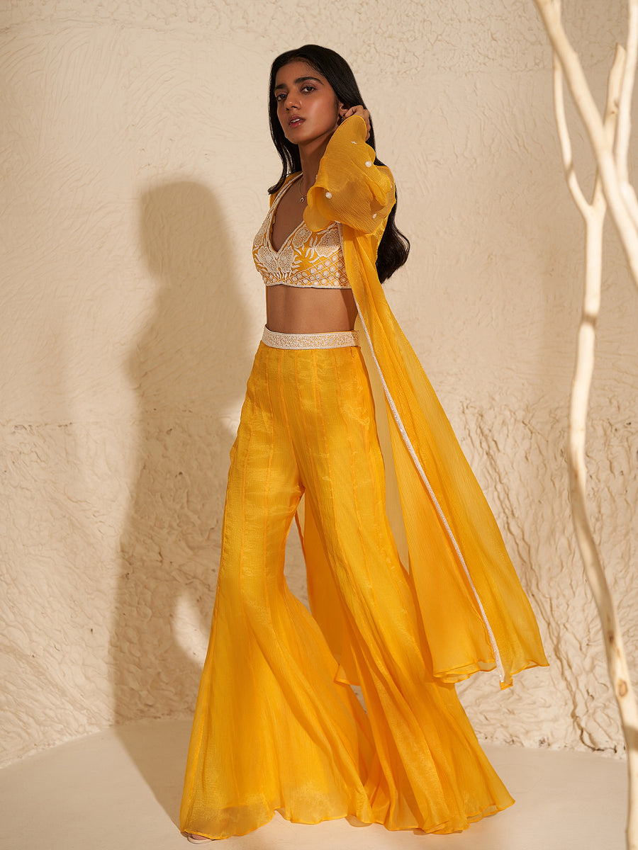 Daffodil Yellow Organza Jacket Set – Zoon